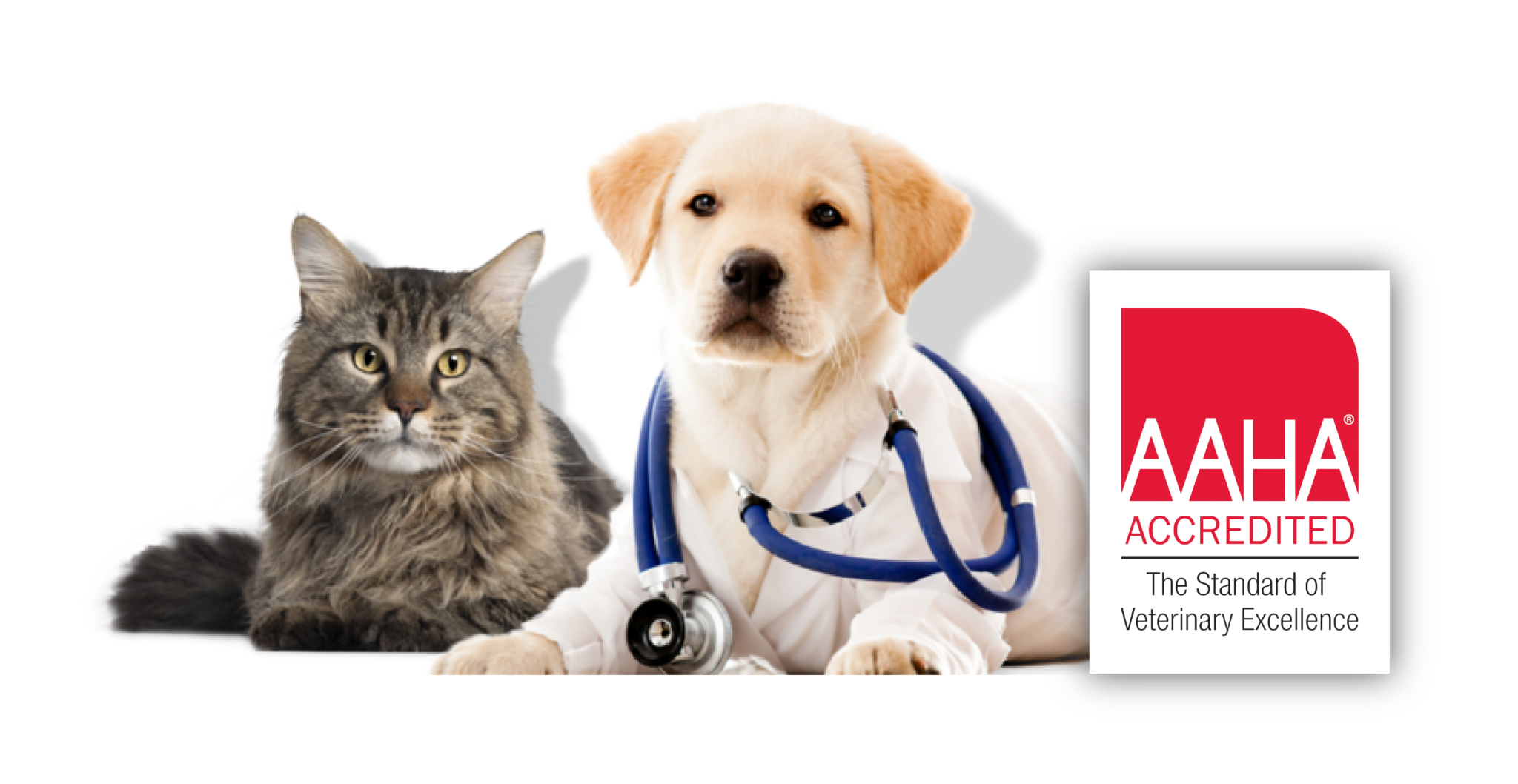 Veterinarian and Animal Hospital in Port Hadlock, WA | Chimacum Valley ...